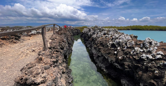 Isla Isabela | Tour Galápagos