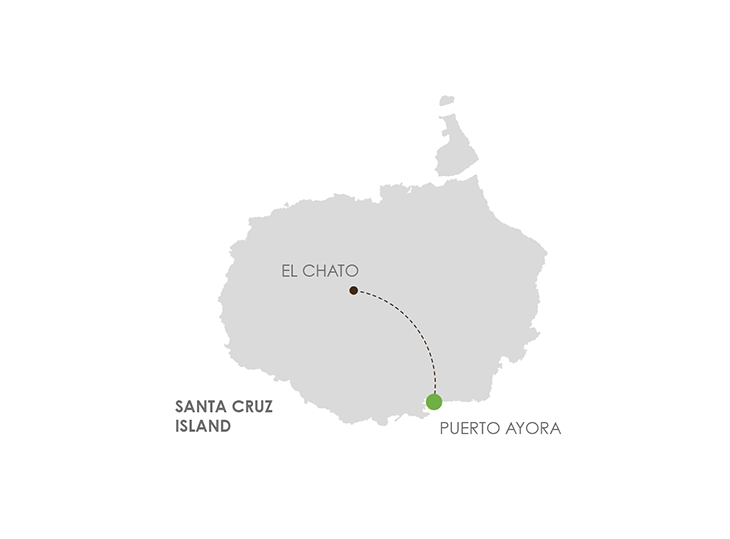 El Chato | Day Tour Galapagos