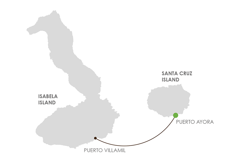 Isabela Island | Day Tour Galapagos