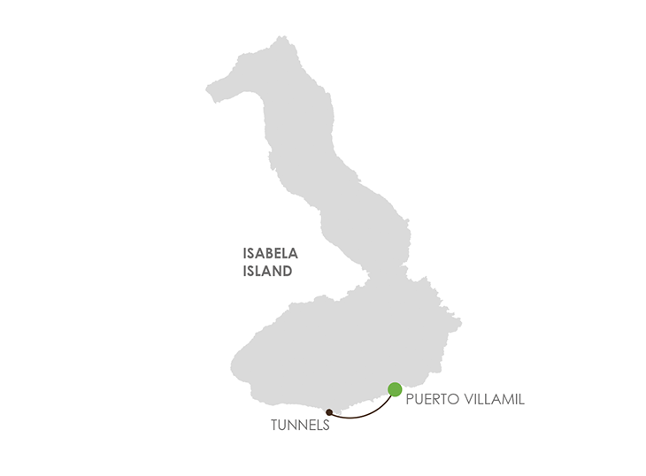 Tour Los Tuneles Cabo Rosa Isabela 2025